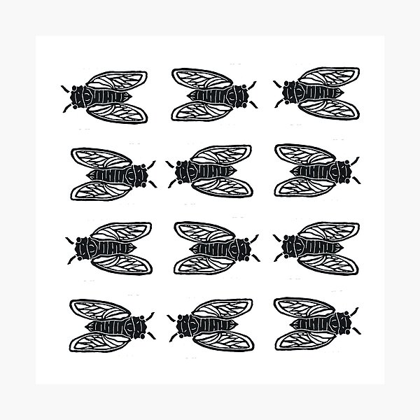 "Cicada Block - black" Photographic Print for Sale by abbyoulton ...