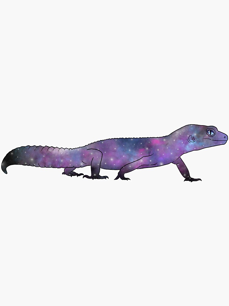 "Galaxy Leopard Gecko" Sticker for Sale by astreetmanart | Redbubble