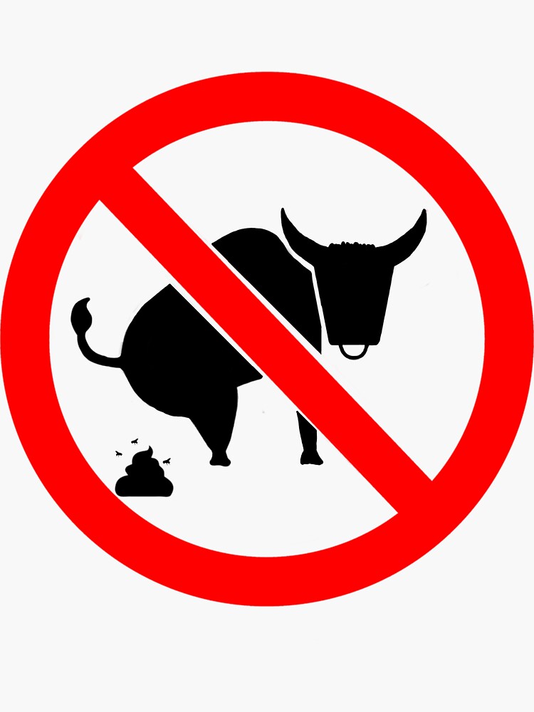 "NO BS" Sticker for Sale by ToopidTease | Redbubble