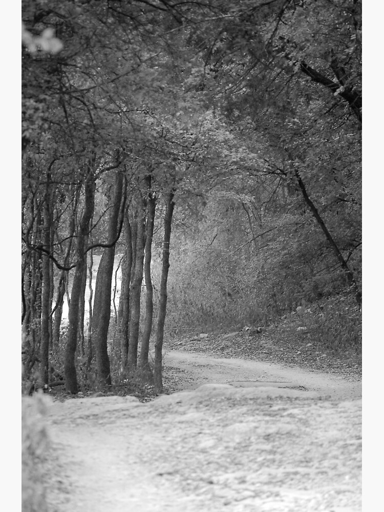 "Path Less Traveled" Sticker by HorseHeroine | Redbubble