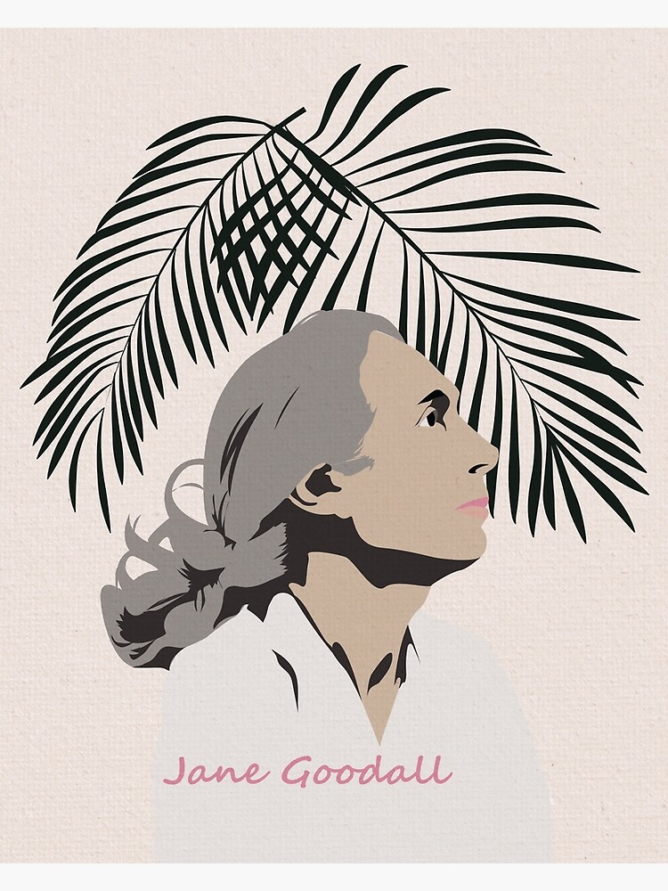 "Jane Goodall Poster Art Chimpanzee, female scientist, science poster ...