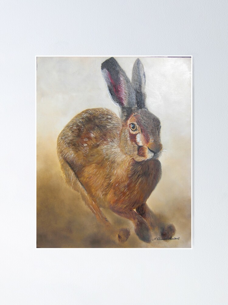 "HARE" Poster for Sale by NathalieCoutant | Redbubble