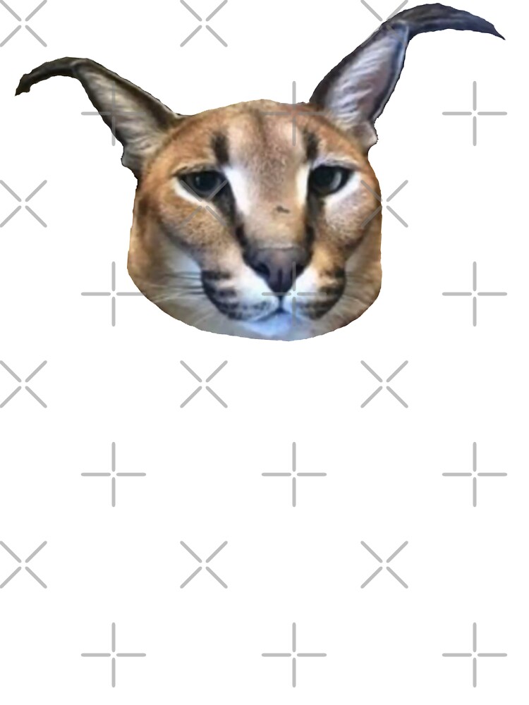 "big floppa" Kids T-Shirt for Sale by neuronic | Redbubble