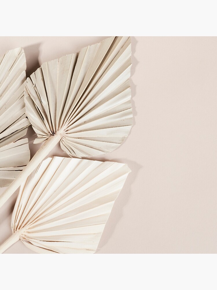 "Pleated palm |Dried fan palm leaves | dry palm leaf | elegant beige ...