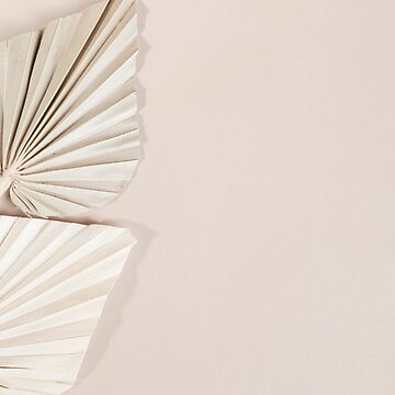 "Pleated palm |Dried fan palm leaves | dry palm leaf | elegant beige ...