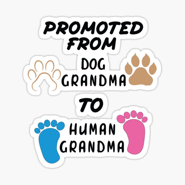 "Promoted From Dog Grandma To Human Grandma" Sticker for Sale by ...