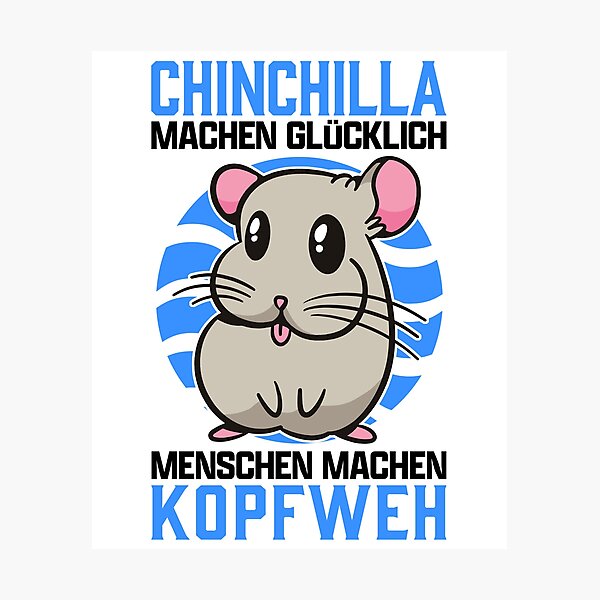 Lámina fotográfica «Chinchilla cefalea ratón lanudo roedor roedor» de ...