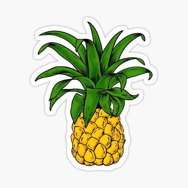 "pineapple" Sticker by yeoubi17 | Redbubble
