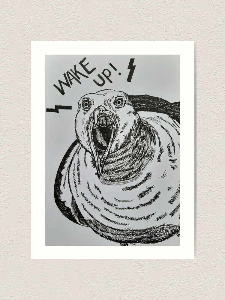 "Seagull Shouting ink drawing" Art Print by JoSymondsArt | Redbubble