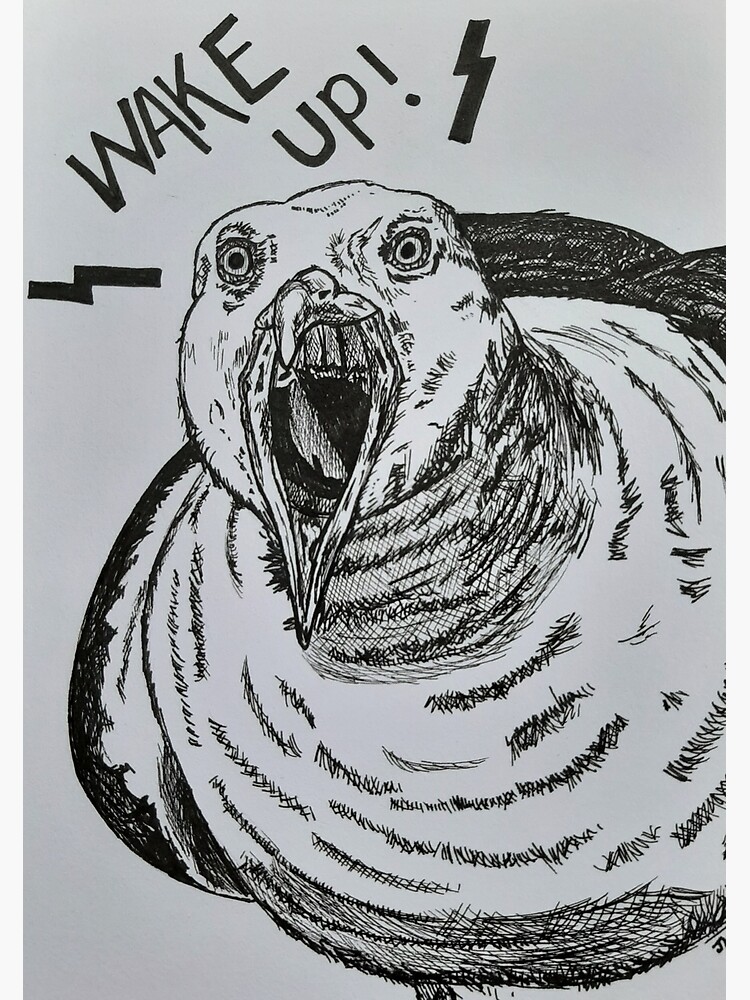 "Seagull Shouting ink drawing" Art Print by JoSymondsArt | Redbubble