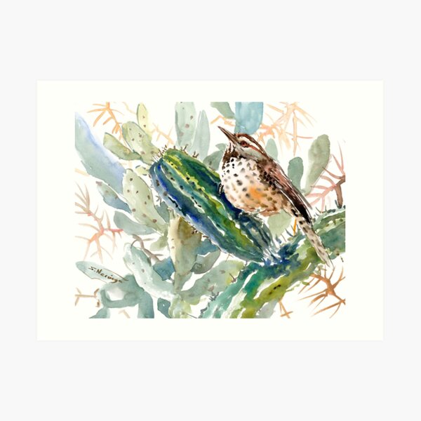 "Cactus Wren, Arizona State BIrd" Art Print by surenart | Redbubble