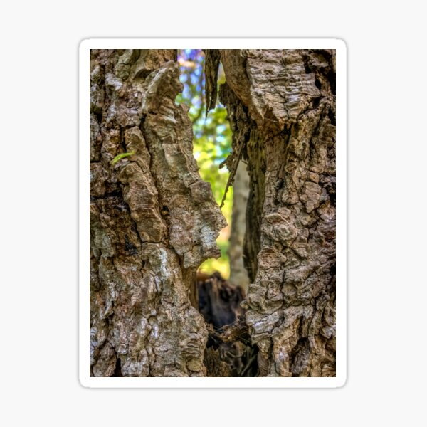 "Split" Sticker for Sale by HeartbeatPhoto | Redbubble