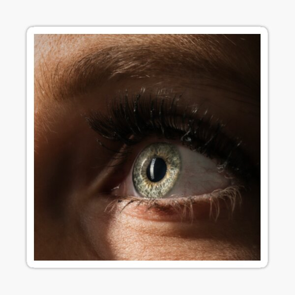 "Innocent human eye....!!" Sticker for Sale by Vivek1995 | Redbubble