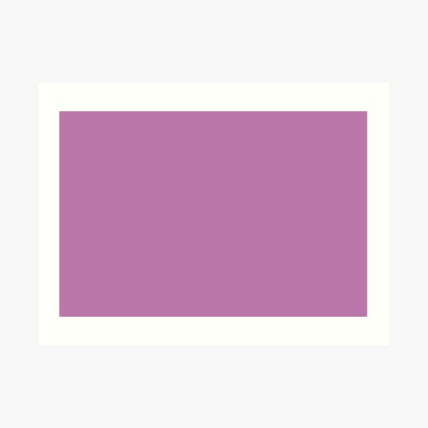 "Pastel Pink Solid Color 2022 - 2023 Autumn / Winter Trending Hue ...