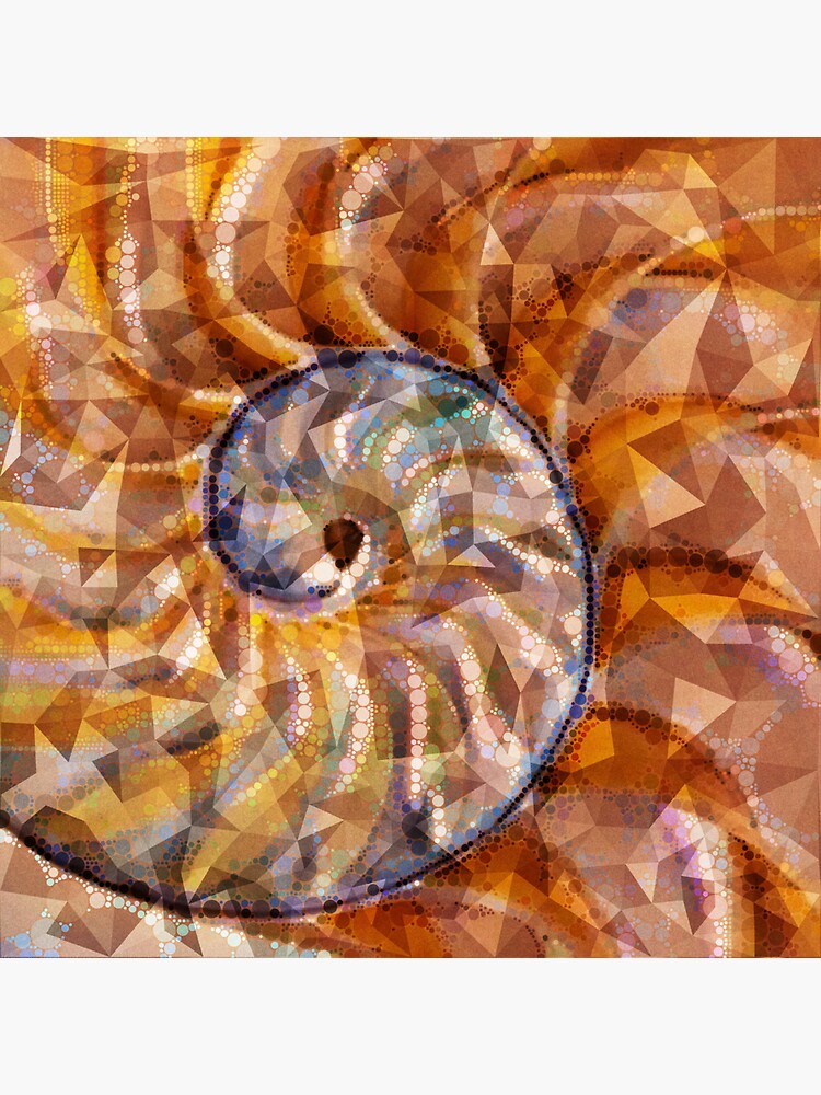 "Nautilus" Sticker for Sale by DANAROPER | Redbubble