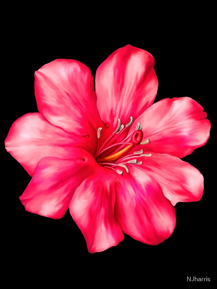 "Flor de Papo" Poster for Sale by NJharris | Redbubble