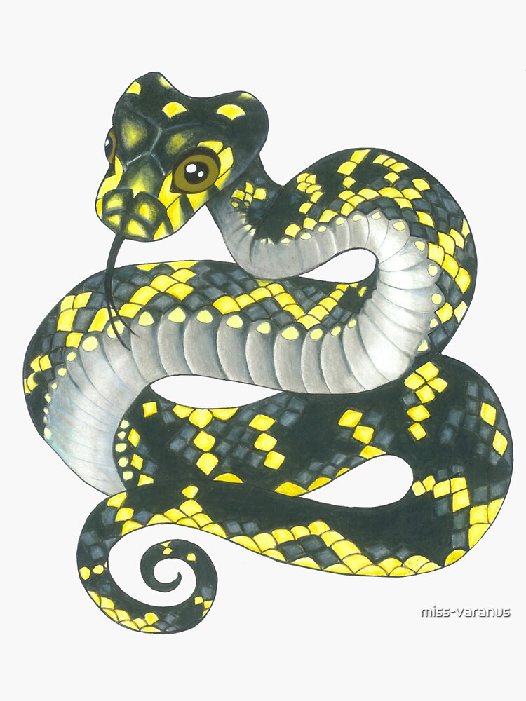 "Broad-headed Snake" Sticker for Sale by miss-varanus | Redbubble