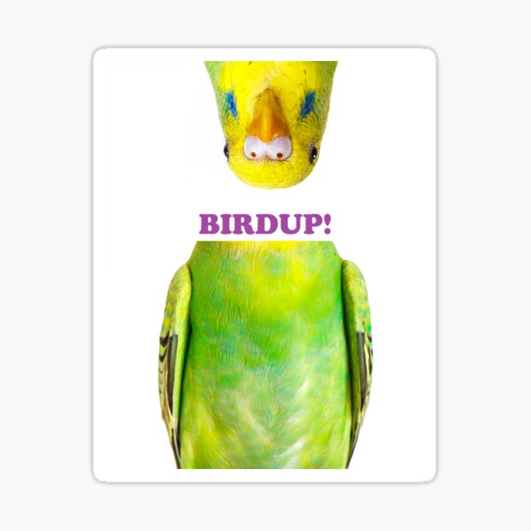 "Bird Up!" Sticker by X-Danger | Redbubble