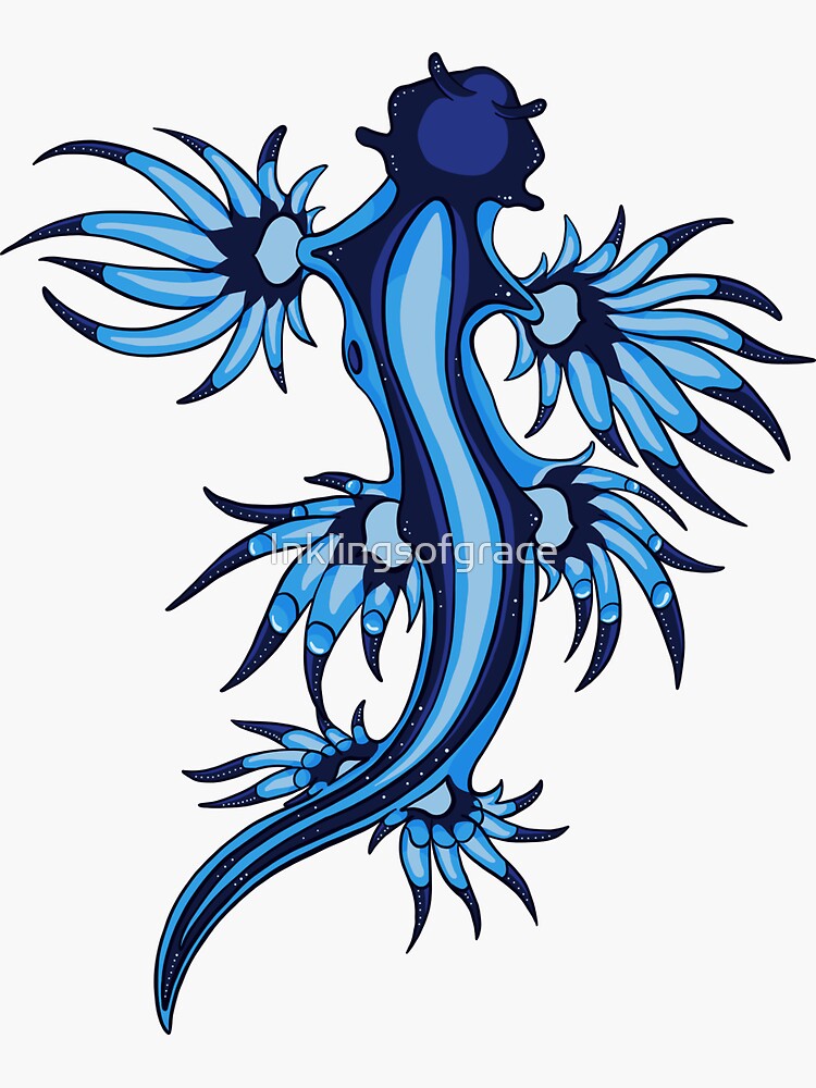 "Exotic Nudibranch Glaucus Atlanticus Blue and White " Sticker for Sale ...