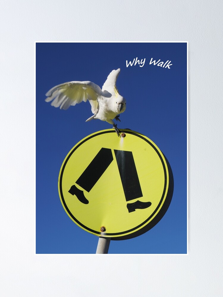 "Why Walk " Poster by Annalucia | Redbubble
