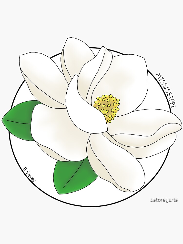 "Mississippi Magnolia State Flower" Sticker for Sale by bstoreyarts ...