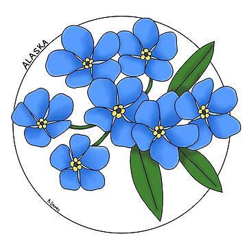 "Alaska State Flower" Sticker for Sale by bstoreyarts | Redbubble