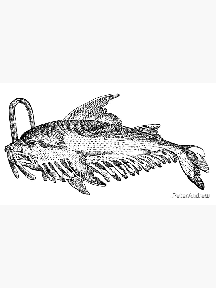 "Whale fish - Medieval Bestiary" Poster for Sale by PeterAndrew | Redbubble