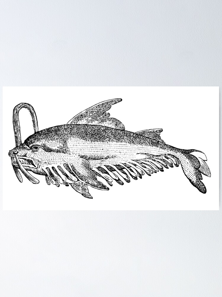 "Whale fish - Medieval Bestiary" Poster for Sale by PeterAndrew | Redbubble