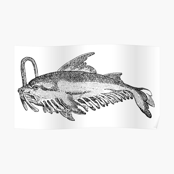 "Whale fish - Medieval Bestiary" Poster for Sale by PeterAndrew | Redbubble