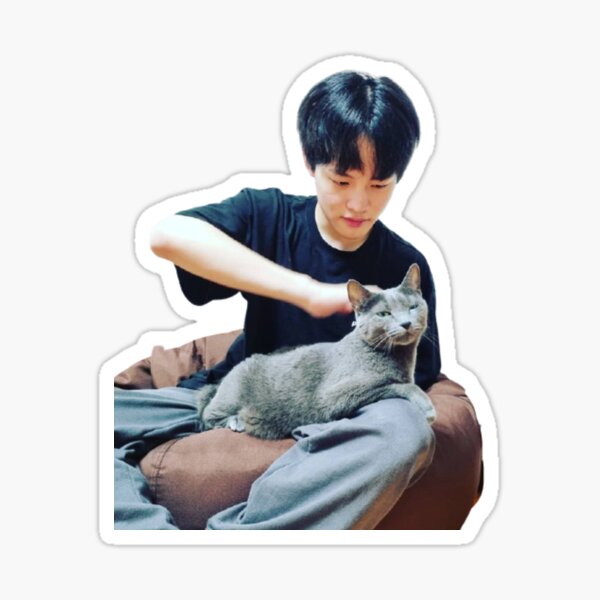 "NCT Chenle" Sticker for Sale by wwjkhsk | Redbubble