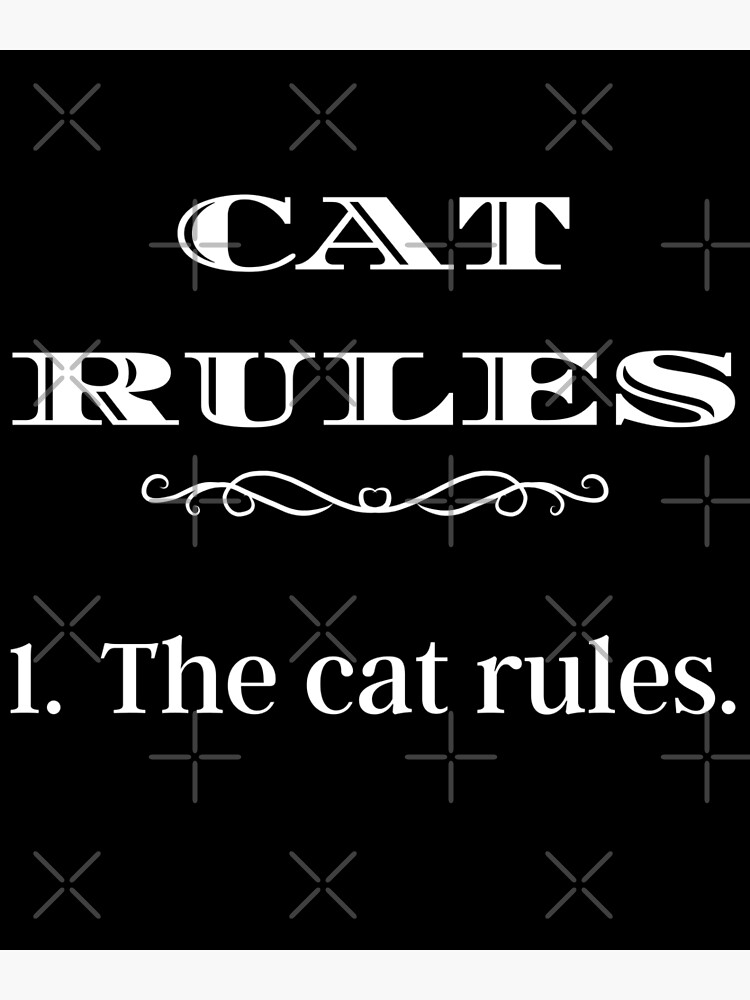 Póster «Amante de los gatos | Gato mandón | Reglas del gato | Divertido ...