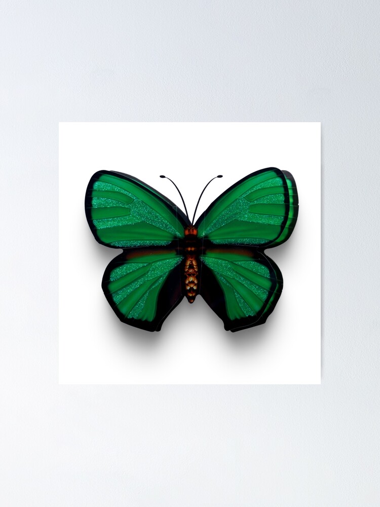 "sage green butterfly" Poster for Sale by artbyrosse | Redbubble