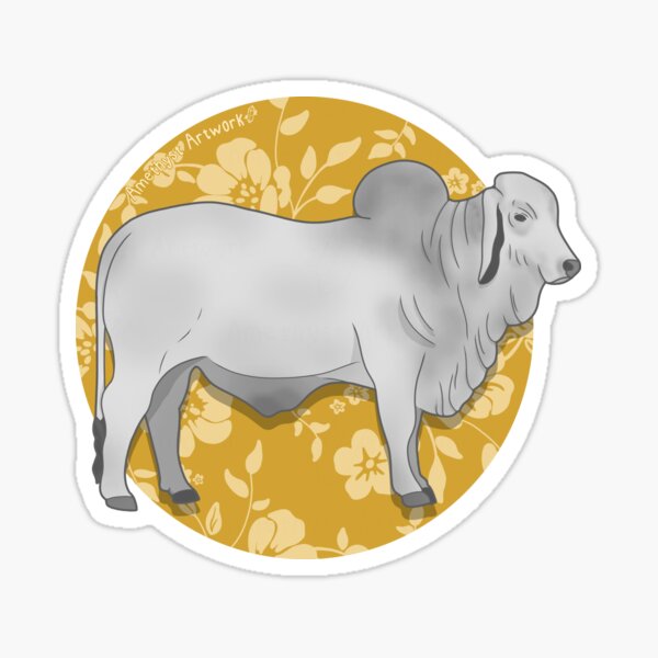 "Brahman Bull with Yellow Floral Pattern" Sticker for Sale by ...