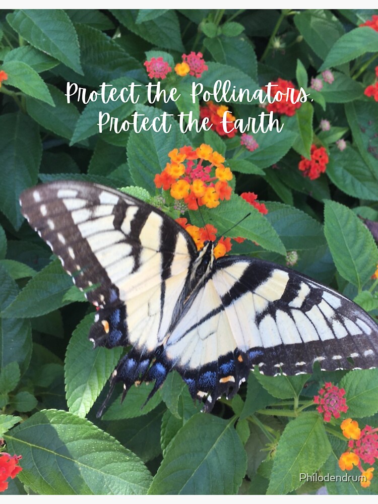 "Protect the Pollinators" Sticker for Sale by Philodendrum | Redbubble
