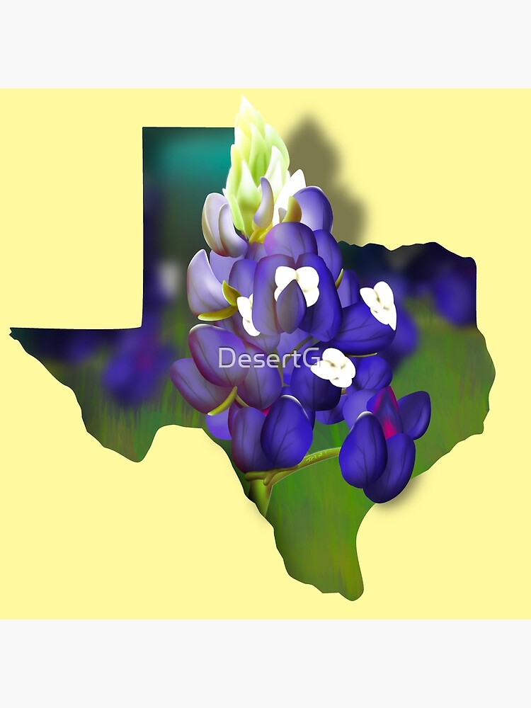 "Texas State Blue Bonnet" Poster by DesertG | Redbubble