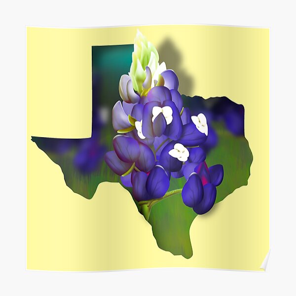 "Texas State Blue Bonnet" Poster by DesertG | Redbubble