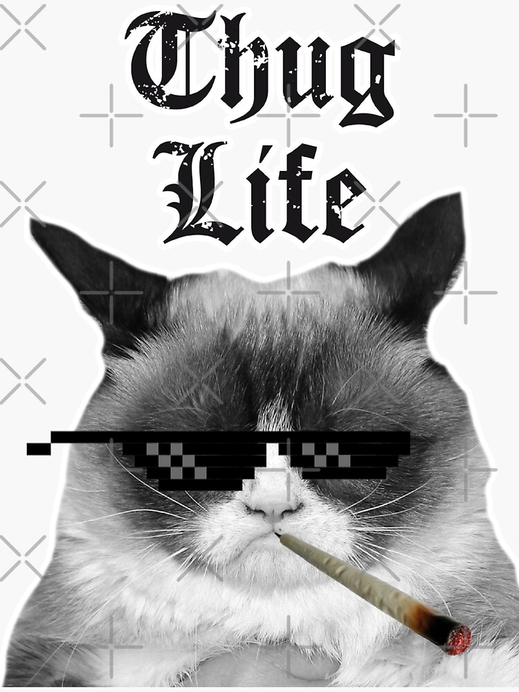 Pegatina «Thug Life Cat» de HeadOut | Redbubble
