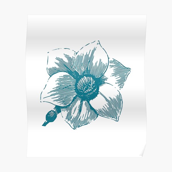 "Illustrated Blue Flower" Poster for Sale by KeepPlantsHappy | Redbubble