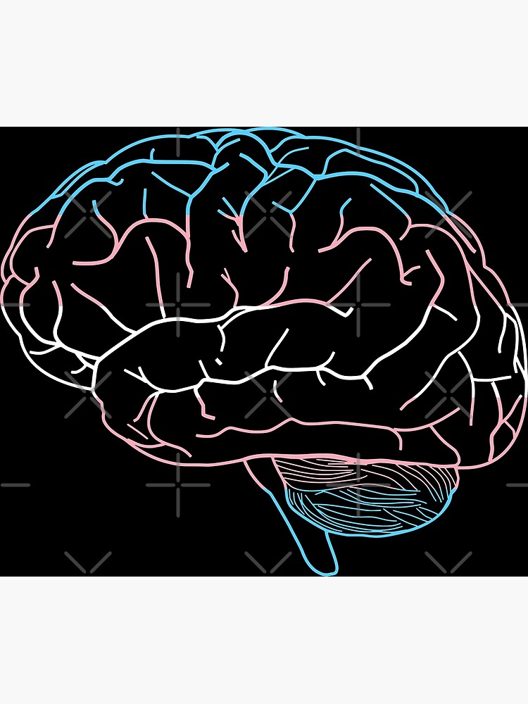 "LGBTQ+ Transgender Brain - Pride Month, Happy Pride!, Trans Pride ...