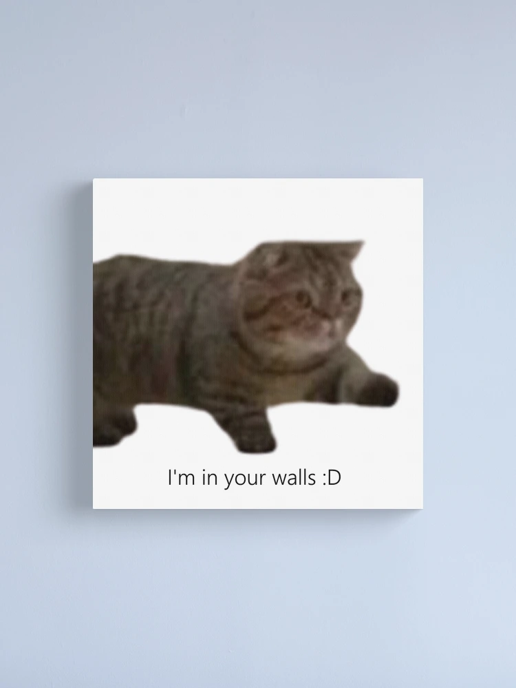 Meme De Gato Caminando Cat Walking Like A Boss Latest Memes Imgflip