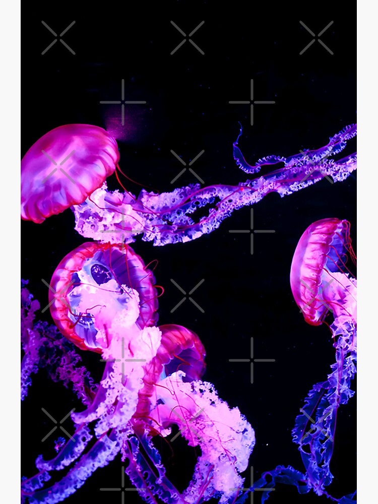 "Ultra Violet Purple Neon Jellyfish" Sticker for Sale by trashfactory ...