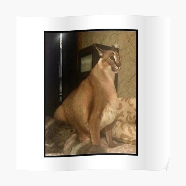 "Big Floppa" Poster for Sale by ouyoussfyassine | Redbubble