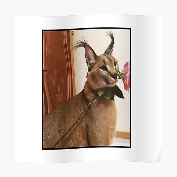 Póster «Big Floppa» de ouyoussfyassine | Redbubble