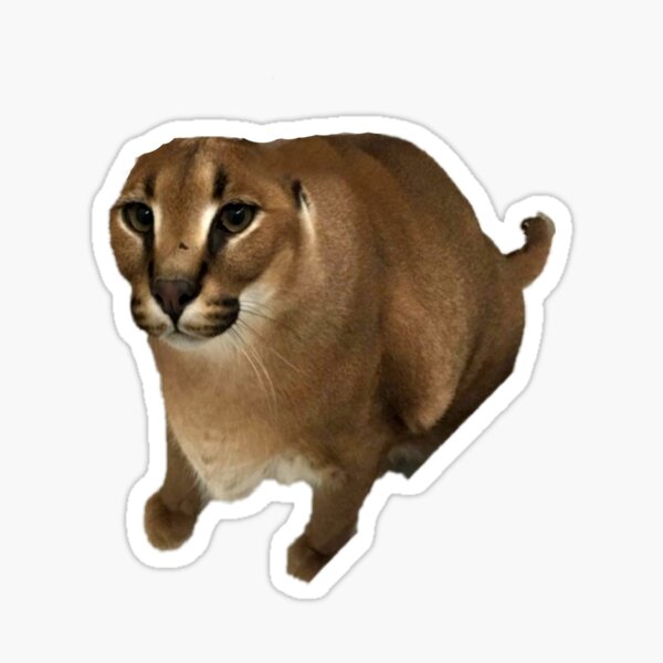 "Big Floppa" Sticker for Sale by ouyoussfyassine | Redbubble