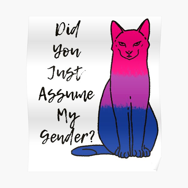 "Misgendered angry cat- bisexual " Poster for Sale by Thecraftybear ...