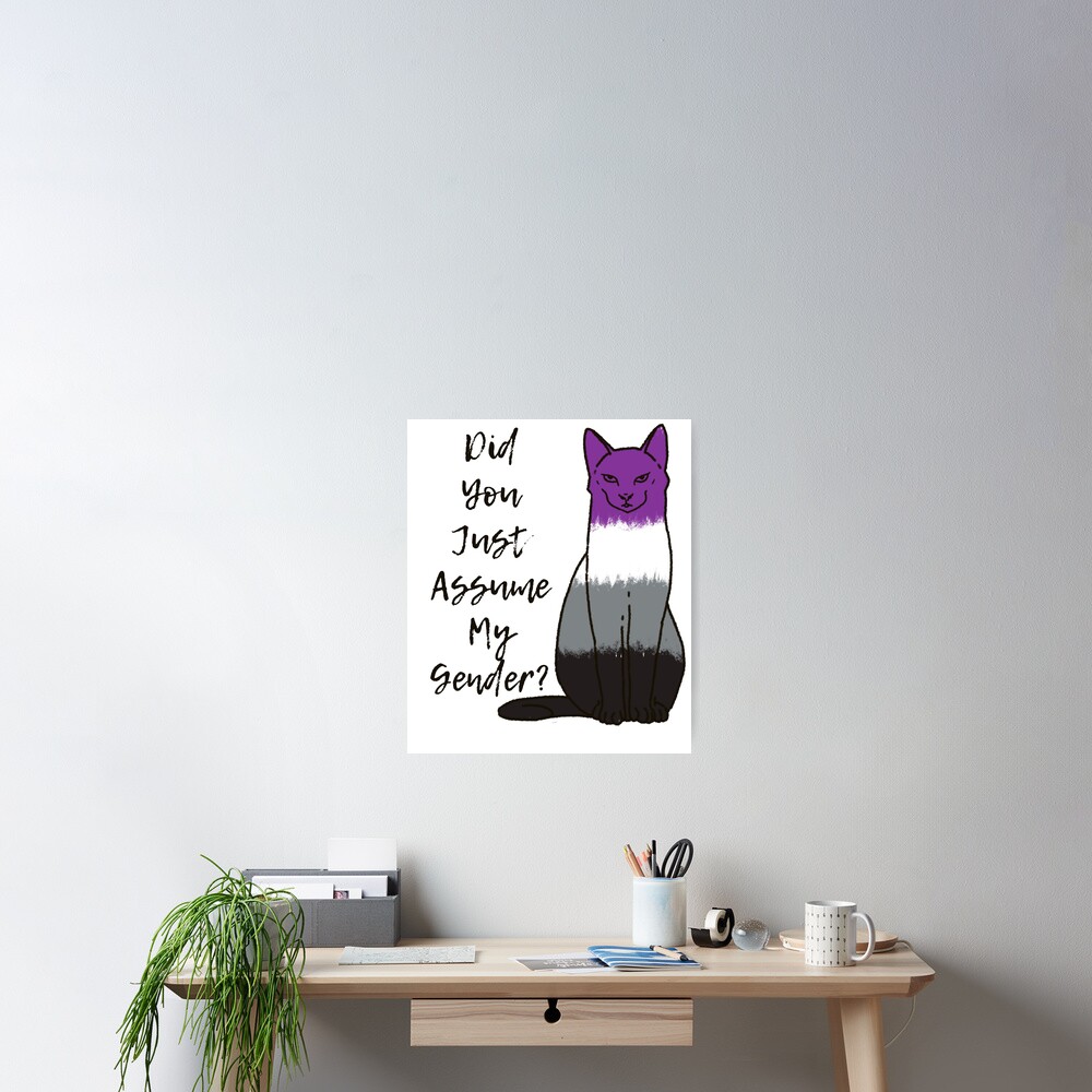"Misgendered angry cat- asexual" Poster by Thecraftybear | Redbubble
