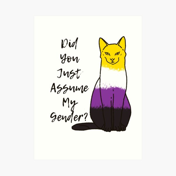 "Misgendered angry cat- non binary" Art Print for Sale by Thecraftybear ...