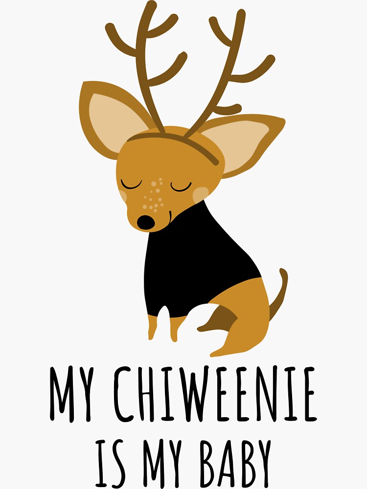 "My Chiweenie Is My Baby" Sticker for Sale by TeesByConnor | Redbubble