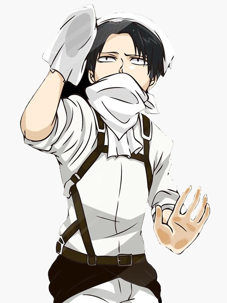 "Levi funniest moment" Sticker for Sale by NBcanvasdesign | Redbubble