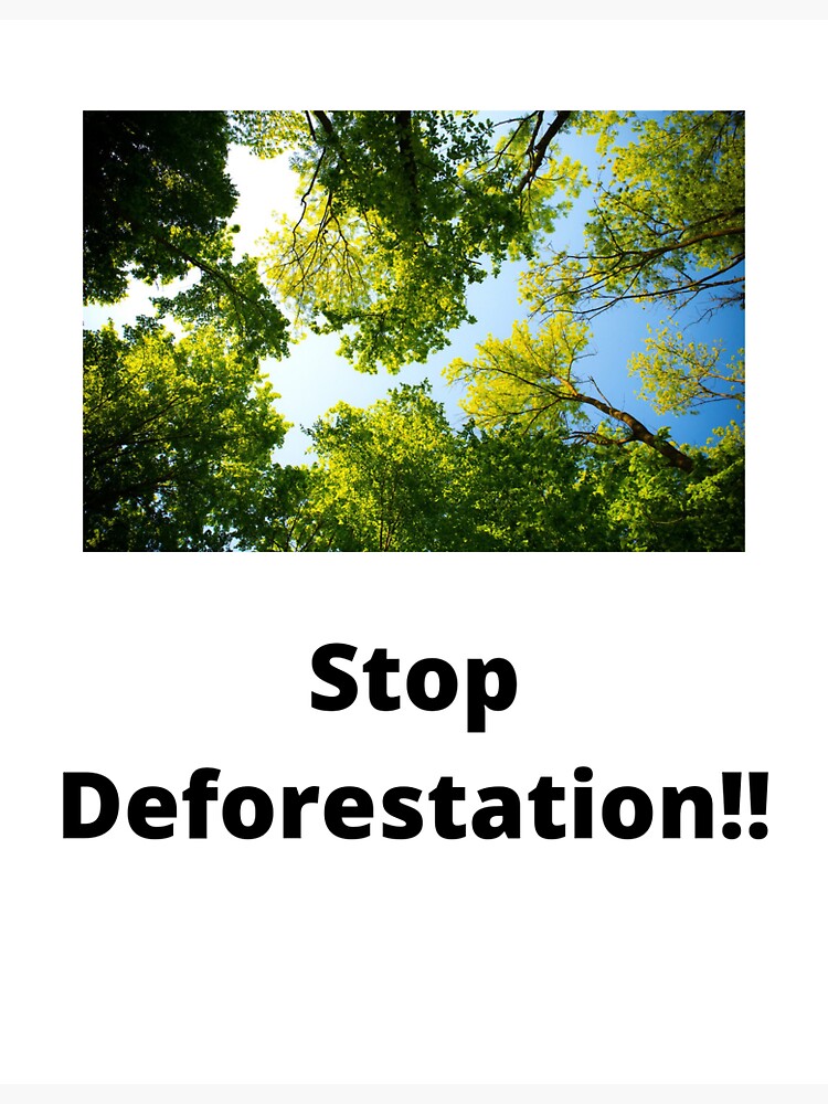"Stop deforestation text with art of trees" Sticker by DelightfulByOla ...